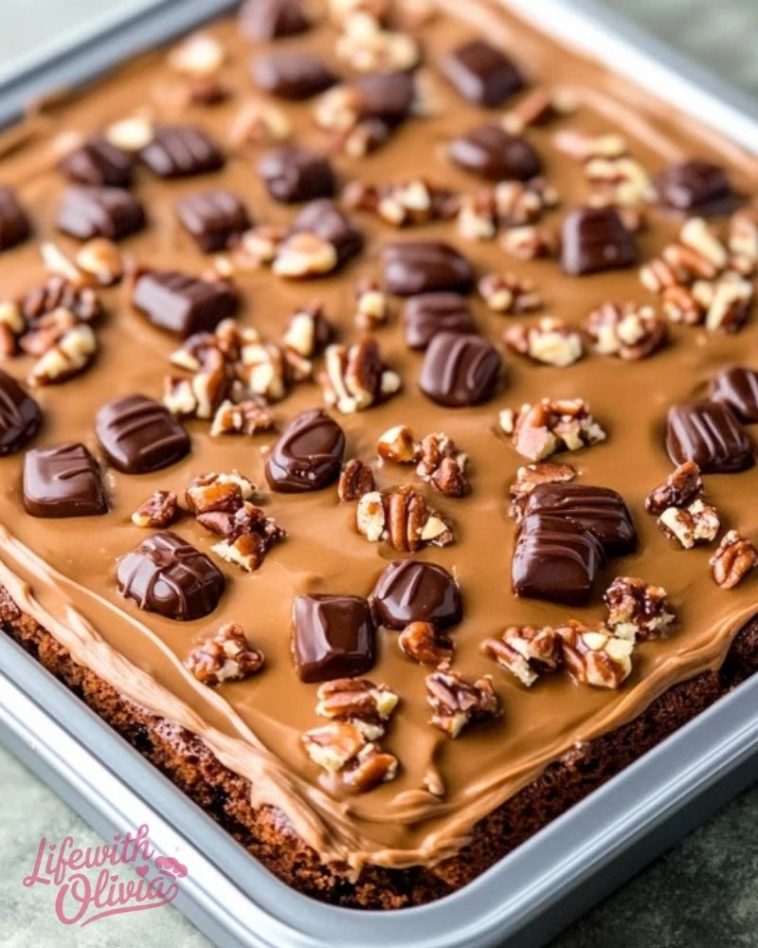 Easy Texas Turtle Sheet Cake