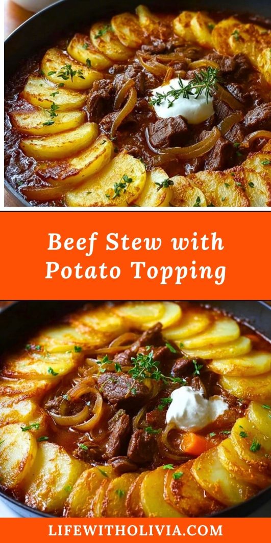 Beef Stew with Potato Topping