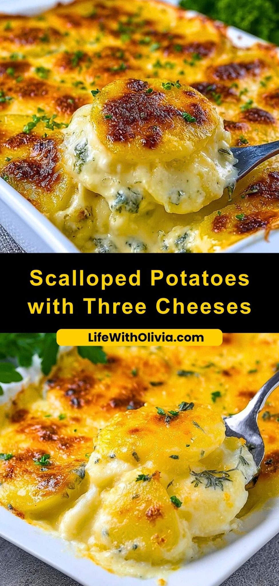 Scalloped Potatoes with Three Cheeses